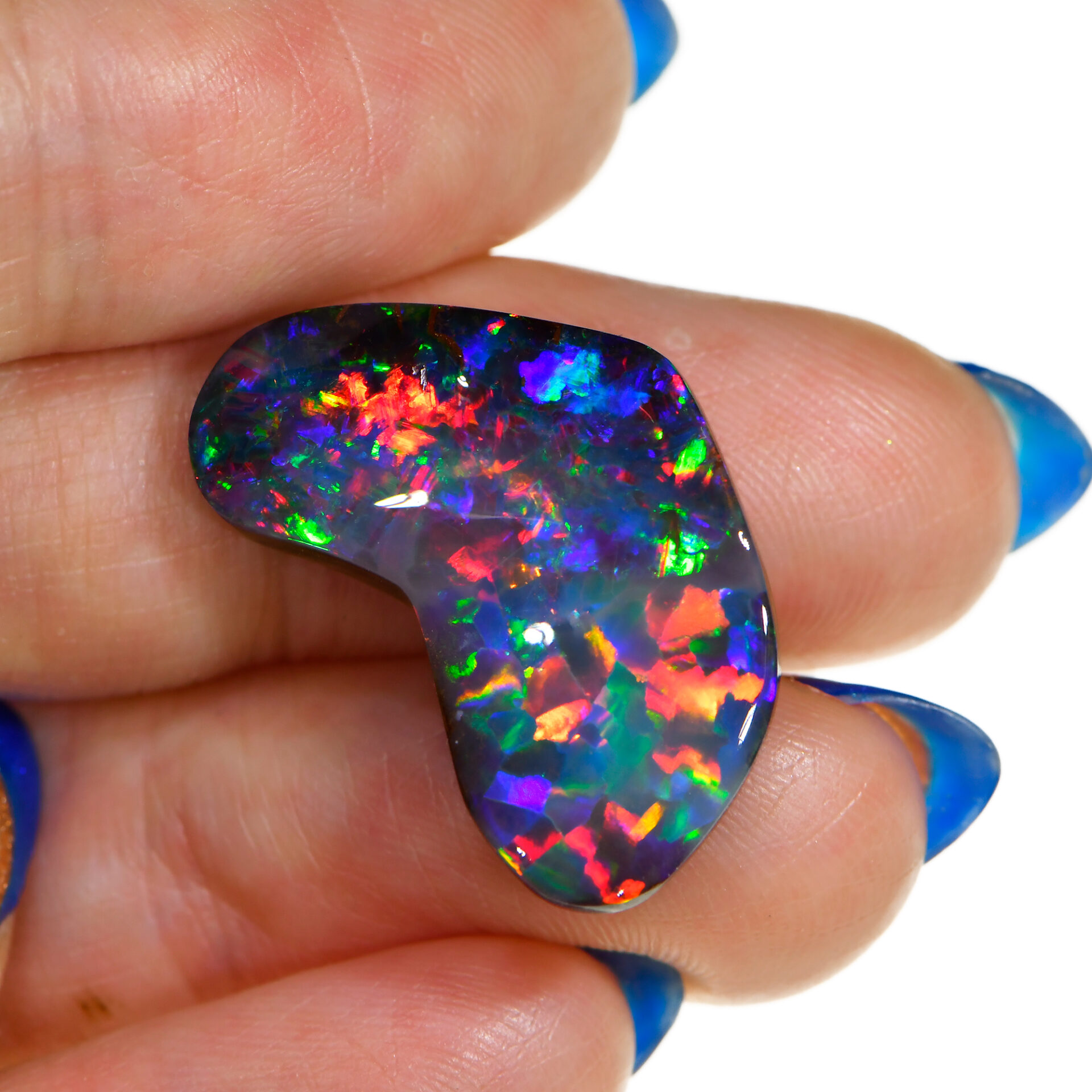 Absolute Gem Rare Harlequin Boulder Opal 14.7 ct